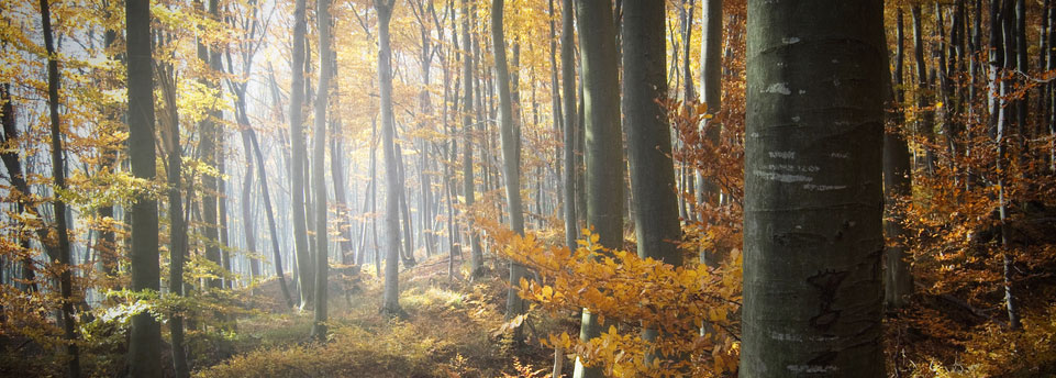 Meet Oral Surgeon John Brunetti, DMD Vernon Hills IL